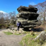 Brimham Rocks and Brimham Moor Circular, North Yorkshire, England - 306 ...