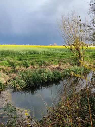 Best Hikes and Trails in Fowlmere Nature Reserve | AllTrails