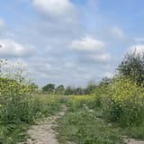 San Gabriel River Trail and Goodwater Loop, Texas - 917 Reviews, Map ...