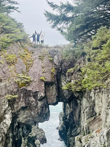 Best Hard Trails in Pacific Rim National Park Reserve | AllTrails