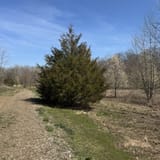 Deer Ridge Park 4K Loop, Missouri - 180 Reviews, Map | AllTrails