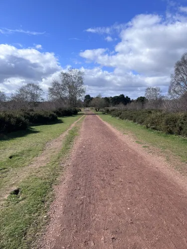 Best Hikes and Trails in Sutton Park | AllTrails