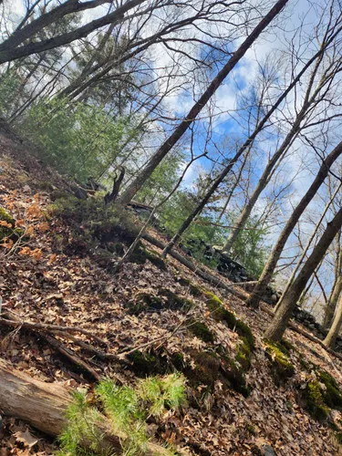 Best Hikes and Trails in Ghiloni Recreation Area | AllTrails