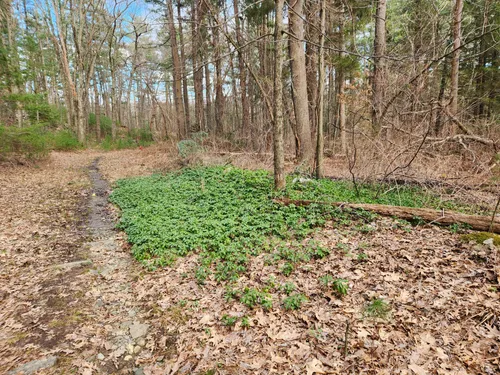 Best Hikes and Trails in Ghiloni Recreation Area | AllTrails