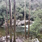 Mouse Creek Falls via Big Creek Trail, Tennessee - 2,629 Reviews, Map ...