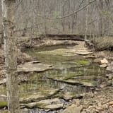 Panther Den Loop, Illinois - 946 Reviews, Map | AllTrails