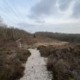 Donnington Castle and Snelsmore Common Circular, Berkshire, England ...