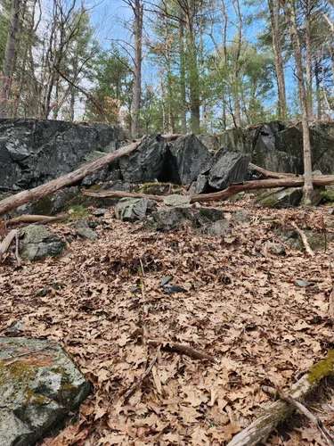 Best Hikes and Trails in Ghiloni Recreation Area | AllTrails