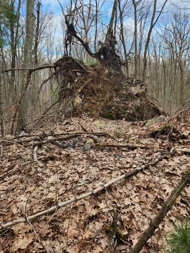 Best Hikes and Trails in Ghiloni Recreation Area | AllTrails