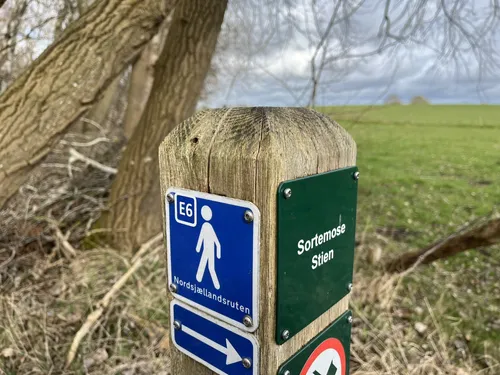 Best Bird Watching Trails in Store Dyrehave | AllTrails