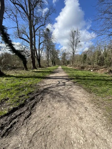 Best Hikes and Trails in Maidenhead Thicket | AllTrails