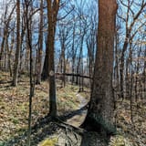 Low Gap Trail , Indiana - 1,255 Reviews, Map | AllTrails