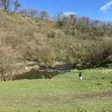 Chee Dale Gorge Circular, Derbyshire, England - 1,304 Reviews, Map ...