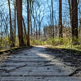 Low Gap Trail , Indiana - 1,267 Reviews, Map | AllTrails