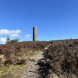 Scolty Hill, Aberdeenshire, Scotland - 102 Reviews, Map | AllTrails