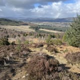 Scolty Hill, Aberdeenshire, Scotland - 102 Reviews, Map | AllTrails