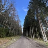 Scolty Hill, Aberdeenshire, Scotland - 102 Reviews, Map | AllTrails