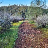 Overlook, Soaproot, and Old Stage Loop, California - 333 Reviews, Map ...