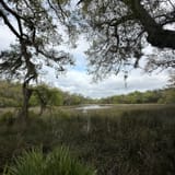 Guana Trail, Marshview Lane, and Shellbluff Road, Florida - 248 Reviews ...