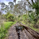 Guana Trail, Marshview Lane, and Shellbluff Road, Florida - 286 Reviews ...