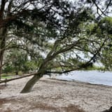 Guana Trail, Marshview Lane, and Shellbluff Road, Florida - 286 Reviews ...