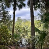 Guana Trail, Marshview Lane, and Shellbluff Road, Florida - 286 Reviews ...