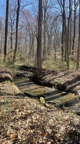 Best Hikes and Trails in William Redd Jr Park | AllTrails