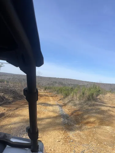 Best Off Road Driving Trails in Prentice Cooper State Forest | AllTrails