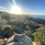 Paseo Miramar Trail , California - 2,135 Reviews, Map | AllTrails
