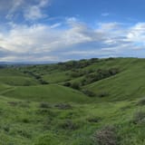 Timberhill Park Trail, California - 228 Reviews, Map | AllTrails