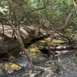 Raven Rock Loop Trail, North Carolina - 2,458 Reviews, Map | AllTrails