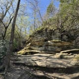 Raven Rock Loop Trail, North Carolina - 2,458 Reviews, Map | AllTrails