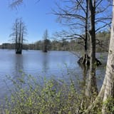 Stumpy Lake Loop, Virginia - 483 Reviews, Map | AllTrails