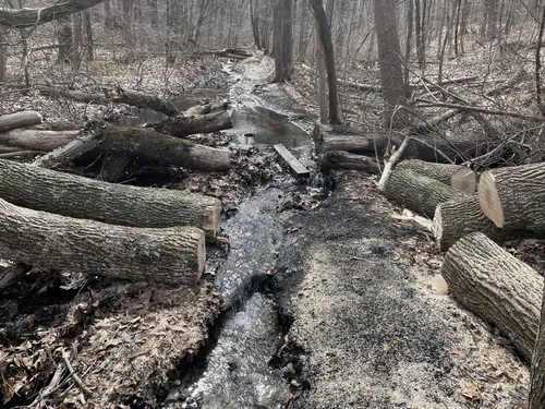 Best Hikes and Trails in Lime Rock Nature Preserve | AllTrails