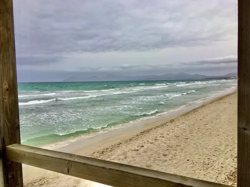 10 Best Hikes and Trails in S'Albufera de Mallorca Nature Park | AllTrails