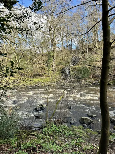 Best Hikes and Trails in Muiravonside Country Park | AllTrails