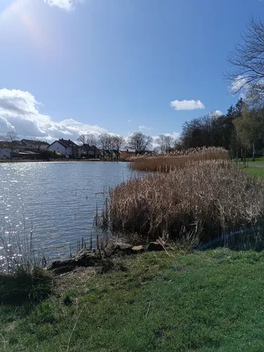 Best Hikes and Trails in Ramstein-Miesenbach | AllTrails