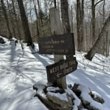 Mount Cardigan Loop Trail, New Hampshire - 1,971 Reviews, Map | AllTrails