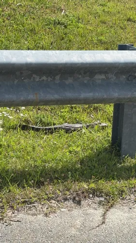 Best Hikes and Trails in Three Forks Conservation Area | AllTrails