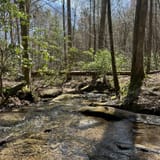 Long Branch Loop Trail, Georgia - 2,198 Reviews, Map | AllTrails