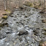 Shaker Mountain Loop via Shaker Trail, Massachusetts - 490 Reviews, Map ...