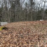 Shaker Mountain Loop via Shaker Trail, Massachusetts - 490 Reviews, Map ...