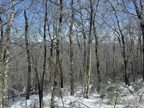 Best River Trails in Bear Brook State Park | AllTrails