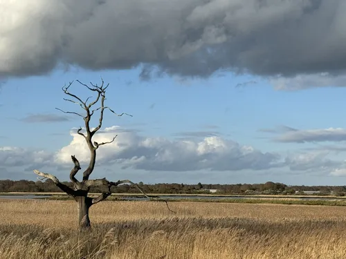 Best Hikes and Trails in Tunstall Forest | AllTrails