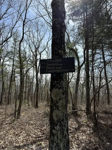 Best Hikes and Trails in Sutton State Forest | AllTrails