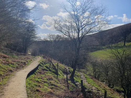 10 Best Walking Trails in Pickering | AllTrails