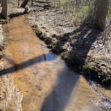 Bacon Ridge Trail: Phase 3, Maryland - 2,308 Reviews, Map | AllTrails