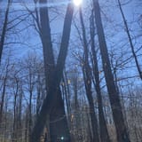 Bacon Ridge Trail: Phase 3, Maryland - 2,308 Reviews, Map | AllTrails