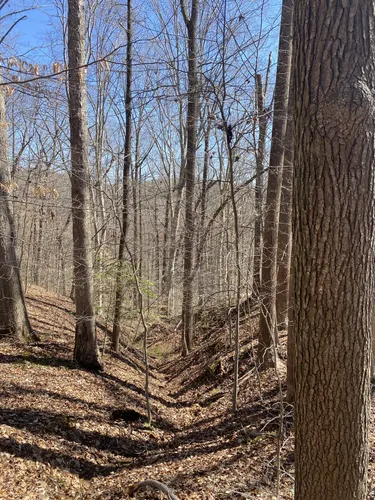 Best Trail Running Trails in Bacon Ridge Natural Area | AllTrails