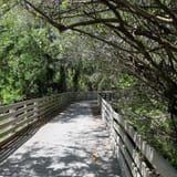 Brevard Zoo Linear Park Trail, Florida - 831 Reviews, Map | AllTrails